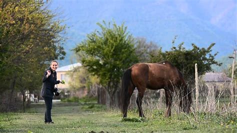 კატერინა და ცხენი სერია Ii Youtube