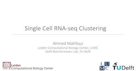 single cell rna seq clustering · single cell rna seq clustering ahmed