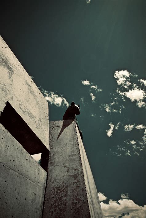 Everything The Light Touches By Garrett Camp Fstoppers