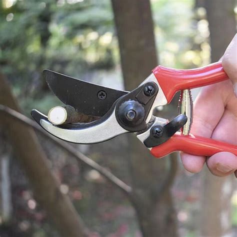 果树修枝剪树枝专用花艺花卉枝剪子剪枝园林工具花剪修剪园艺剪刀 阿里巴巴 果树修枝剪树枝专用花艺花卉枝剪子剪枝园林工具花剪修剪园艺剪刀 阿里巴巴