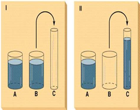 HDFS Exam Flashcards Quizlet