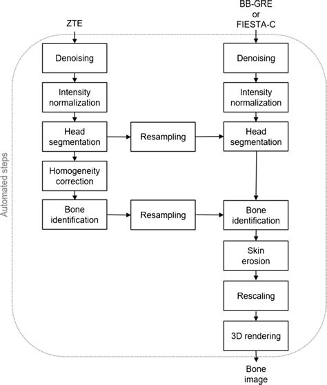 Block Diagram Of The New Bone Rendering Algorithm Relying On