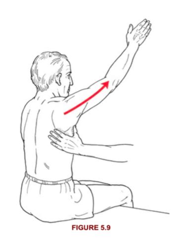 Scapular Abduction And Upward Rotation Mmt Flashcards Quizlet