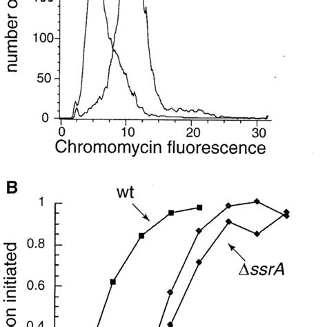 Replication Initiation Is Delayed In Ssra Deficient Strains A Sample