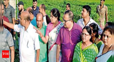 Bsf Test Confirms Sex Assault By Two Bsf Soldiers Tmc Hits The