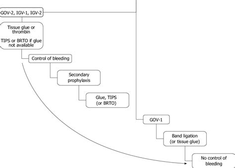 Suggested Algorithm For Treatment Of Gastric Varices Gov