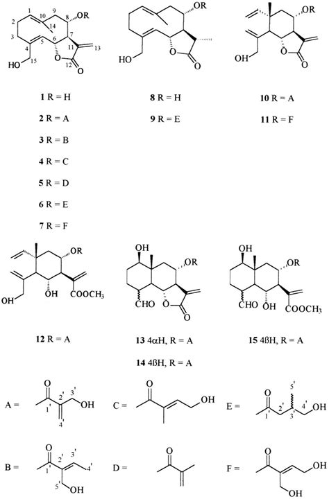 Figure 1 From Sesquiterpene Lactones From Centaurea Achaia A Greek Endemic Species Antifungal
