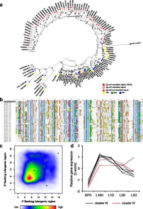 Features Of Jacalin Like Lectin Domain Containing Protein Genes A Download Scientific Diagram