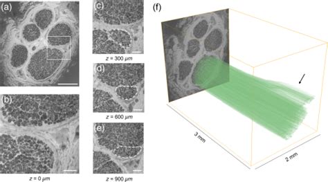 Nervetracker A Python Based Software Toolkit For Visualizing And