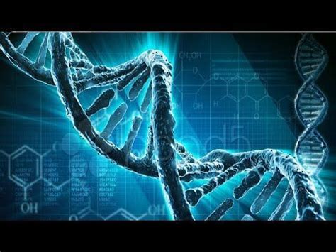 Квантовое Исцеление Костей и Суставов. Частота Шумана_Д-ра Райфа ...