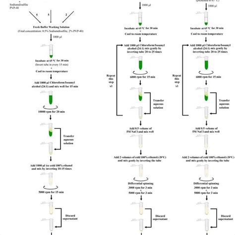 Workflow For Implemented Dna Extraction Protocols Bme Download