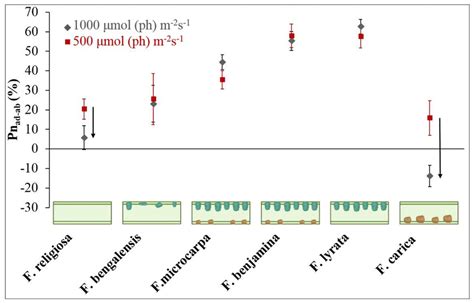 Average Percentage Variation Between Pn Ad And Pn Ab ∆pn Dark Download Scientific