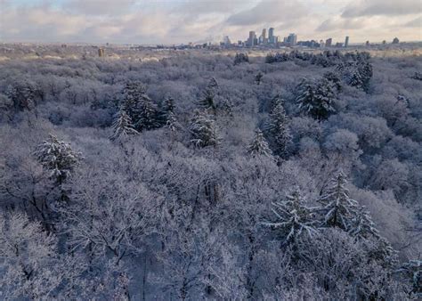 The Minneapolis Parks Foundation Welcomes Three New Board Members In 2026
