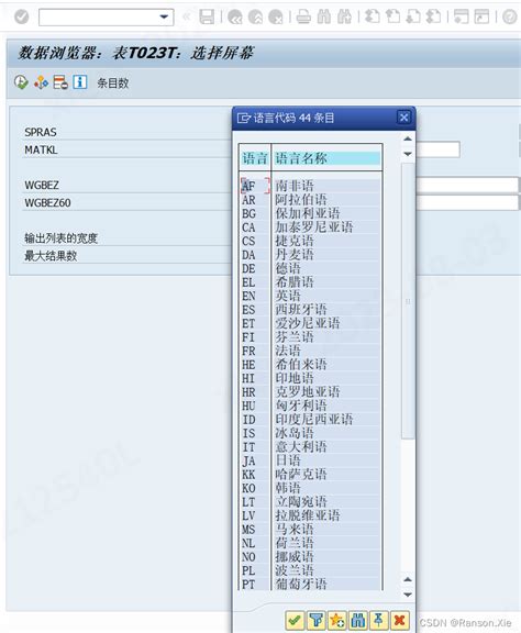 Sap F4下拉值报错：【内部错误：表格格式】 Sap内部错误表格格式 Csdn博客