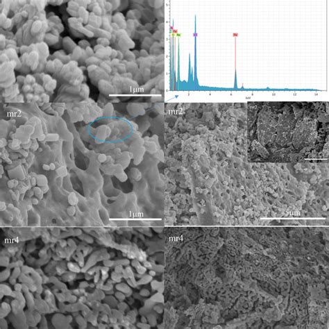 Pdf Preparation Of Bulk Sodium Carboxymethyl Cellulose Aerogels With