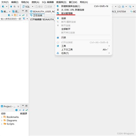 dbever如何连接达梦数据库 dbeaver 达梦数据库 csdn博客