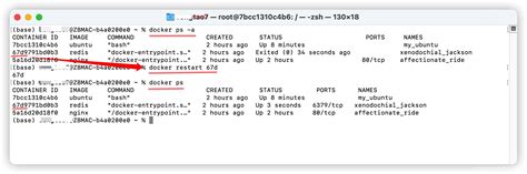 【云原生丶docker】docker容器常用命令大全 Docker创建容器命令 Csdn博客