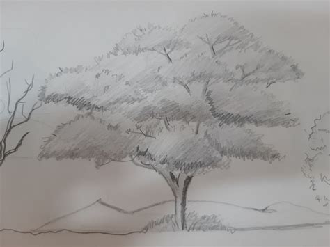 연필로 그림그리기 자유게 캐시피드