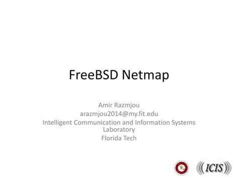 Netmap Presentation Ppt