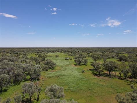 Property 700200767 Eulo Qld 4491 Property Details