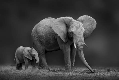 how to avoid a mutating table error in postgresql for consistent data