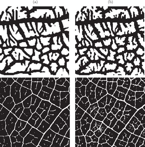 Figure 1 From Wavelet Frame Based Multiphase Image Segmentation