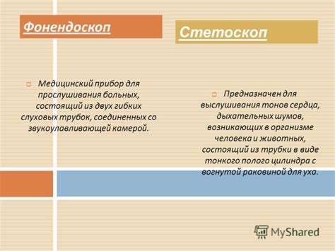 Презентация на тему: "ФИЗИЧЕСКИЕ ОСНОВЫ ЗВУКОВЫХ МЕТОДОВ ИССЛЕДОВАНИЯ В ...