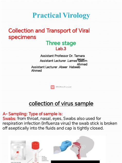 Lab3 2 Pdf