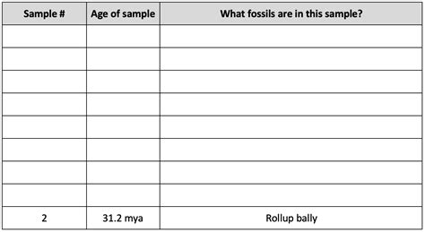 Fossil Record Lab Whos Dating Who ⋆