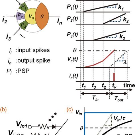 if neuron model for the weighted sum operation a schematic of the