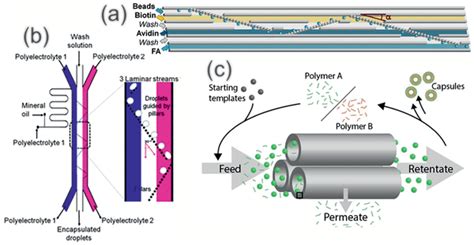 A Conceptual Illustration Of The Micropillar Array Railing System For
