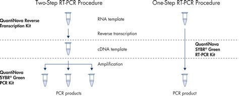 Mmtnfsf132327179 Quantinova Lna Pcr Assay Geneglobe