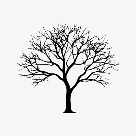 Premium Vector Leafless Tree Silhouette Vector Illustration