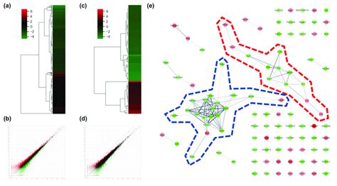 Degs And Gene Network A Heatmap With Hierarchical Clustering Of