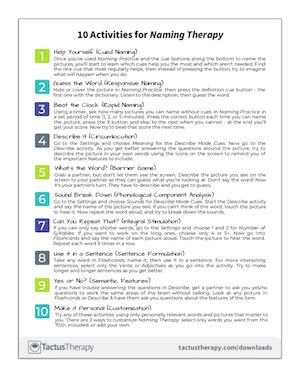 Aphasia Activities Using Naming Therapy