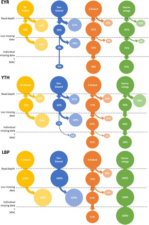 Easy‐to‐use R Functions To Separate Reduced‐representation Genomic Datasets Into Sex‐linked And