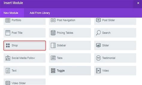 Divi Theme Shop Module Wordpress Divi Builder Documentation