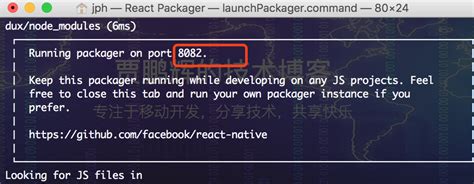 教你轻松修改react native端口 如何同时运行多个react native、8081端口占用问题 debug server host