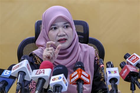 No Need For Heads To Roll Probe Into Jalur Gemilang Gaffe Still Ongoing Fadhlina