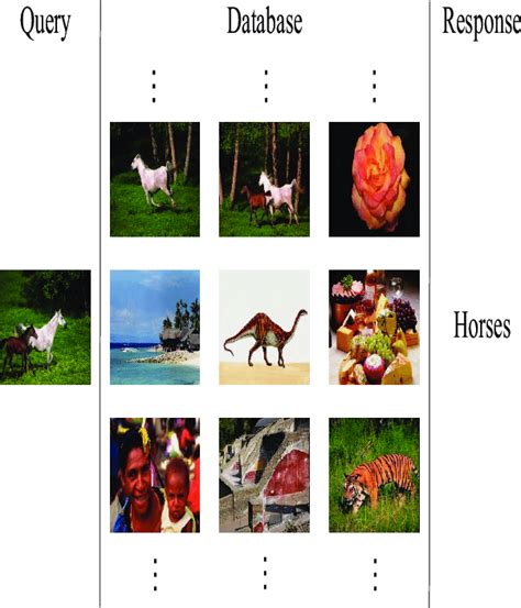 An Example Of Image Classification Download Scientific Diagram