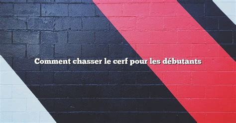 Comment chasser le cerf pour les débutants - Diffusonslascience