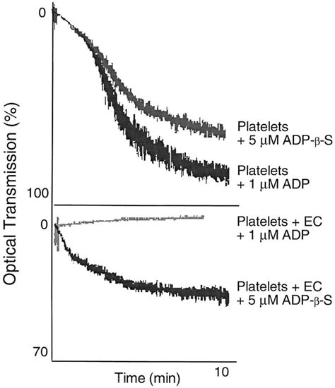 Effect Of Pec On Platelet Aggregation Induced By Adp And Adp β S An