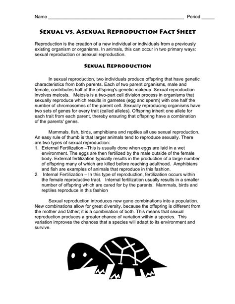 Sexual Vs Asexual Reproduction Fact Sheet Docslib