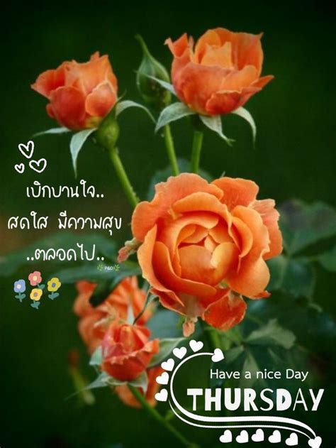 วันพฤหัสบดี🌿🧡 วันพฤหัสบดี ฝันดีราตรีสวัสดิ์ สวัสดีตอนเช้า