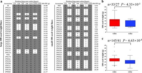 Sequence And Allelic Variation In Glyma19g143300 Among Soybean