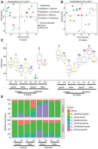 Exploring The Effects Of Trichoderma Virens Biofungicide On Carrot