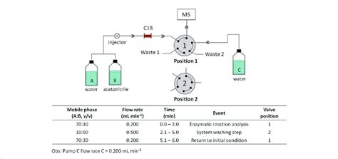 Schematic Representation Of The Hplc Ms System For Monitoring The Download Scientific Diagram