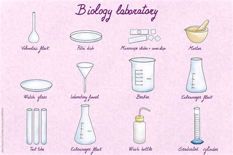 Illustration Of Chemistry And Biology Laboratory Instruments Set By