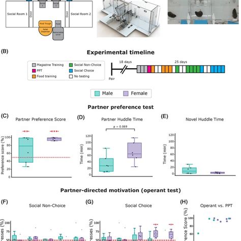 Non‐choice Free Interaction Tests As A Measure Of Partner Preference Download Scientific