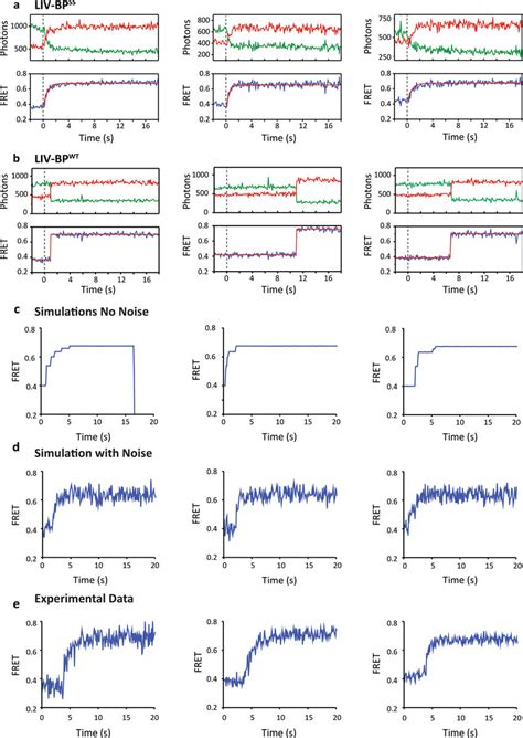 Representative Traces Of Multi Round And Single Turnover Assays With